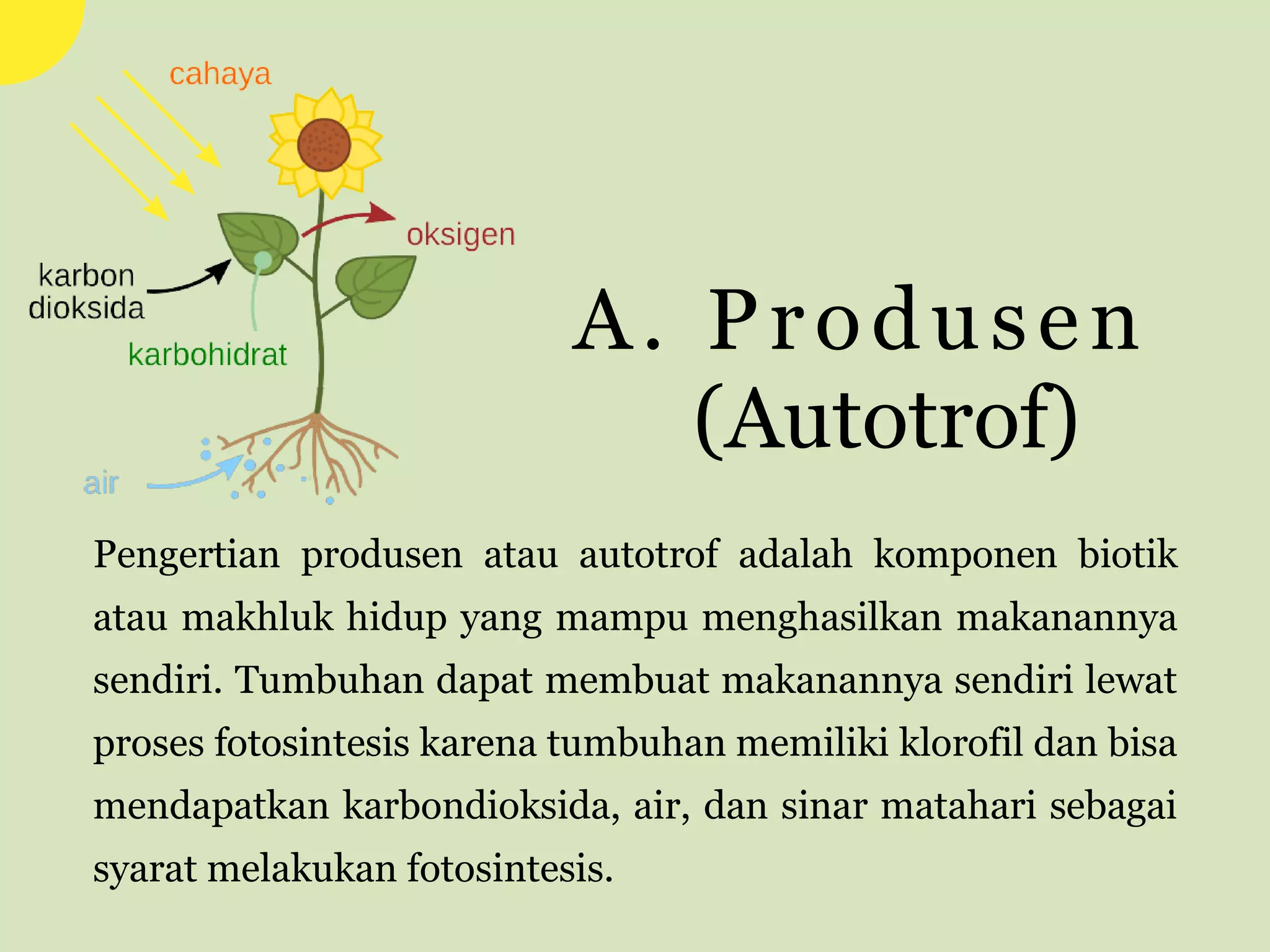 1. MAKHLUK HIDUP DAN LINGKUNGANNYA DIANA.pdf