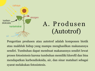 1. MAKHLUK HIDUP DAN LINGKUNGANNYA DIANA.pdf