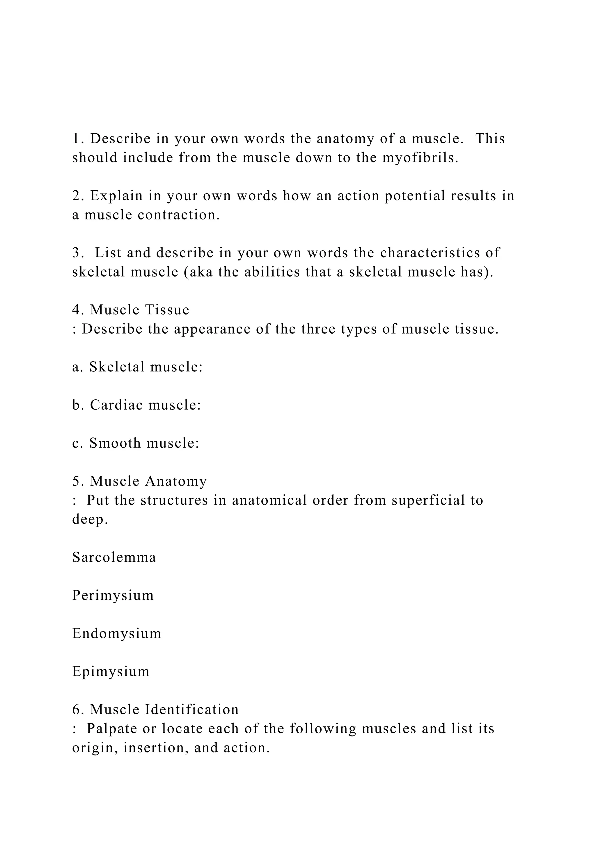 1. Describe in your own words the anatomy of a muscle. This sho.docx