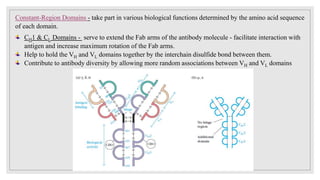 1. Structure of Immunoglobulin.pptx