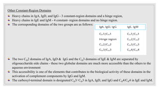 1. Structure of Immunoglobulin.pptx