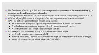 1. Structure of Immunoglobulin.pptx