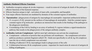 1. Structure of Immunoglobulin.pptx