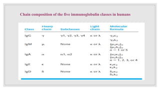 1. Structure of Immunoglobulin.pptx