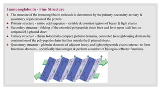 1. Structure of Immunoglobulin.pptx