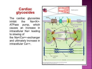 1. cardiotonic drugs-2.pdf