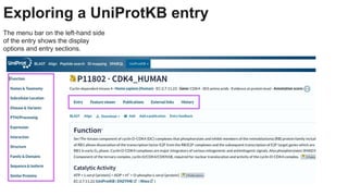 UniprotKB | PDF