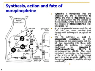 1.4.Adrenergic drugs.ppt