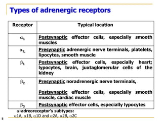 1.4.Adrenergic drugs.ppt
