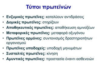 1.2-Πρωτεΐνες.ppt