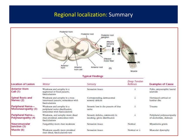 1.Diagnostic reasoning and localization of neurologic disorders 2017.pptx