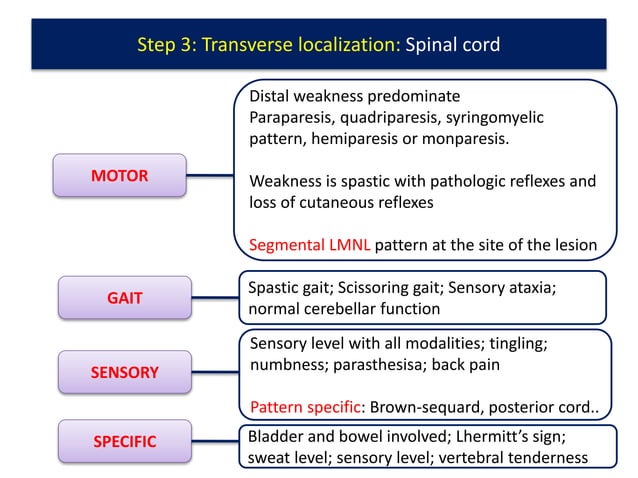 1.Diagnostic reasoning and localization of neurologic disorders 2017.pptx