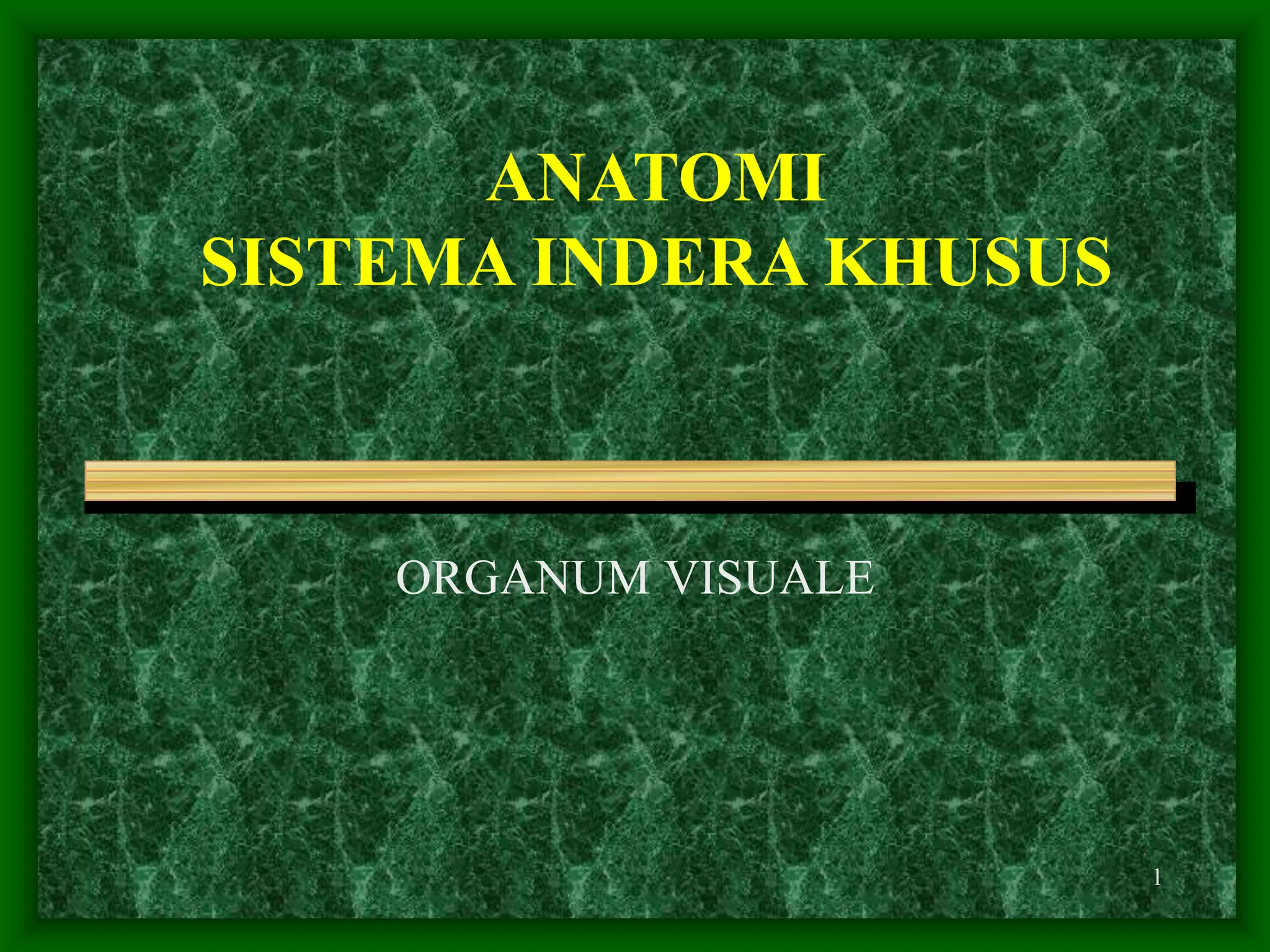 1. Anatomi SS (Mata) (dr. Saharuddin) .ppt