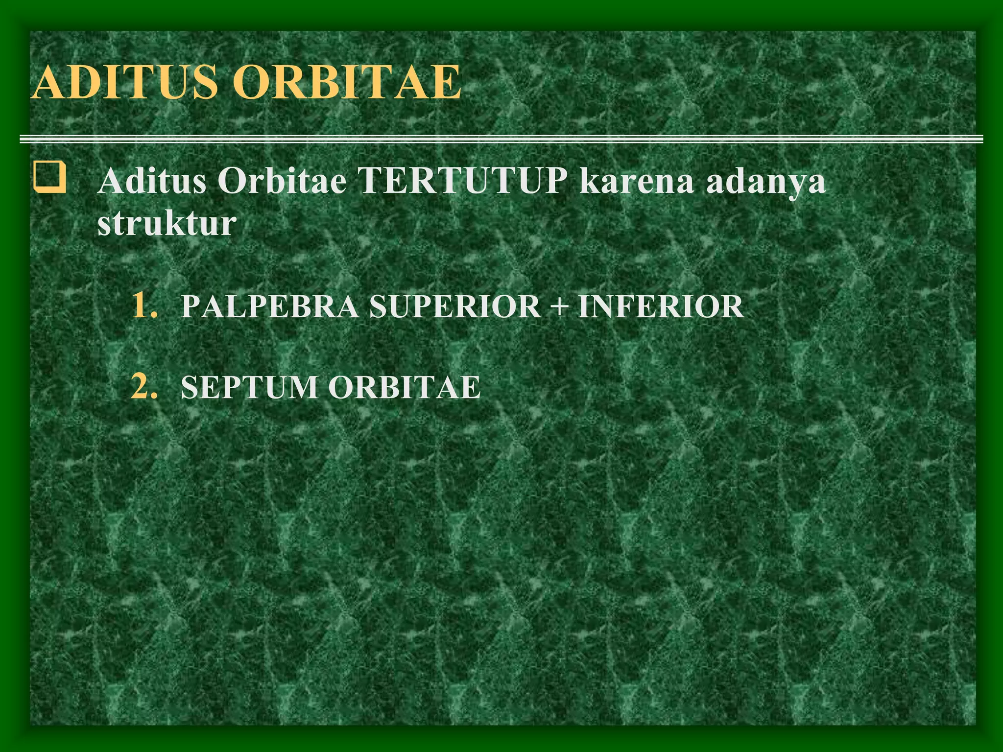 1. Anatomi SS (Mata) (dr. Saharuddin) .ppt