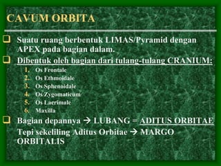 1. Anatomi SS (Mata) (dr. Saharuddin) .ppt