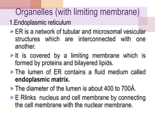 1. Lecture 2-The cell.pdf