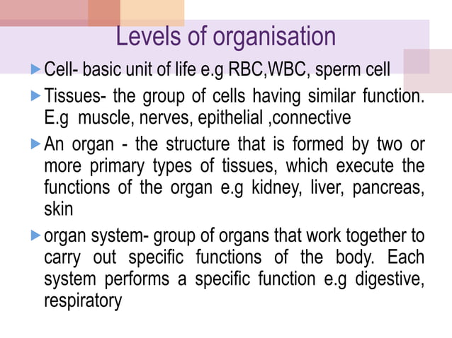 1. Lecture 2-The cell.pdf