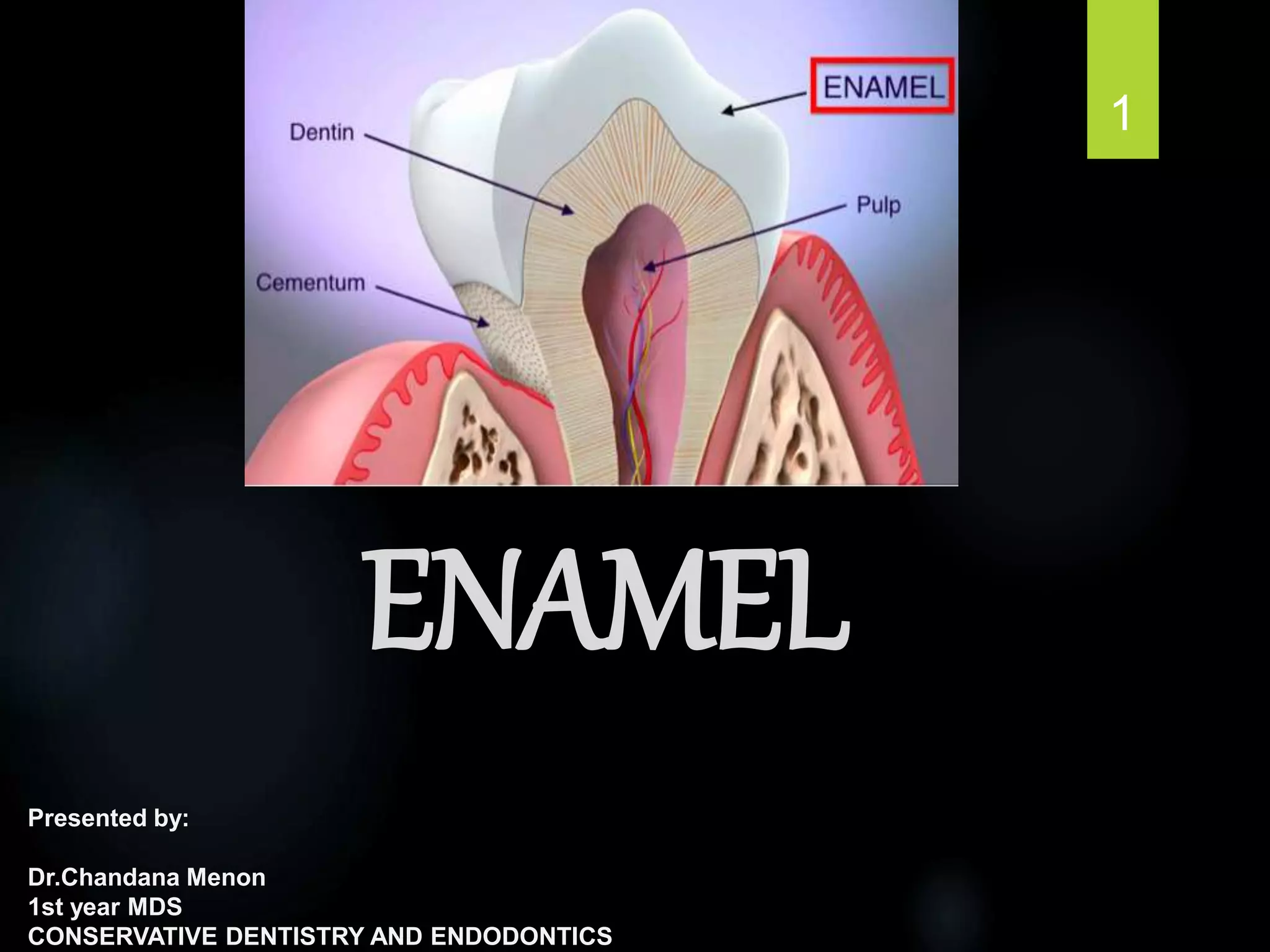 ENAMEL | PPT