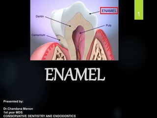 ENAMEL | PPT