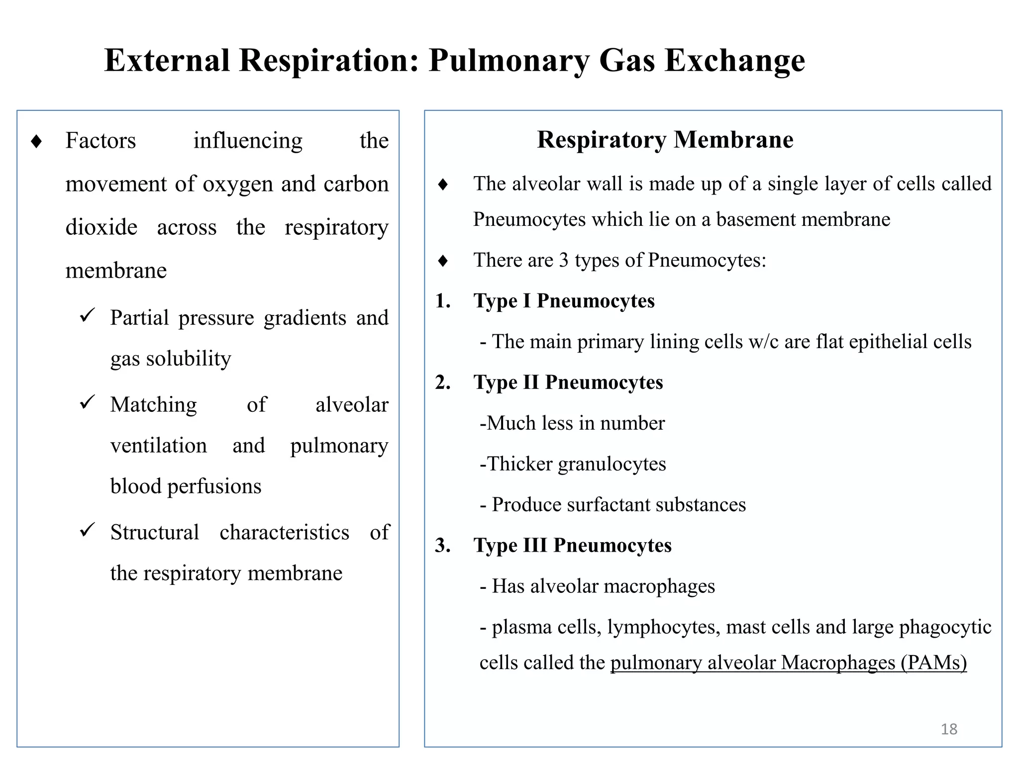 1. Respiratory system physiology (1).pptx
