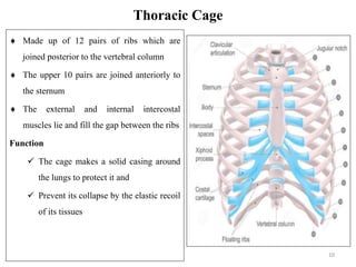 1. Respiratory system physiology (1).pptx