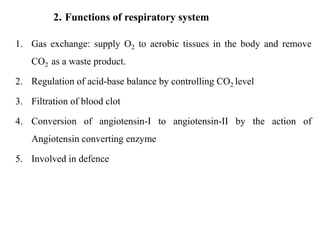 1. Respiratory system physiology (1).pptx