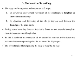 1. Respiratory system physiology (1).pptx
