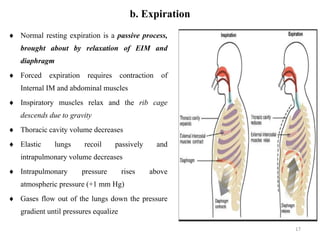 1. Respiratory system physiology (1).pptx