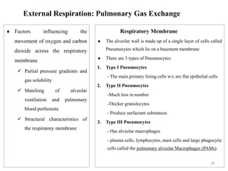 1. Respiratory system physiology (1).pptx