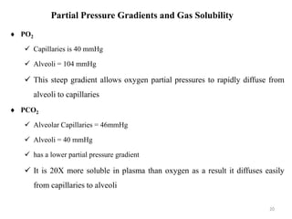 1. Respiratory system physiology (1).pptx
