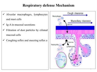 1. Respiratory system physiology (1).pptx