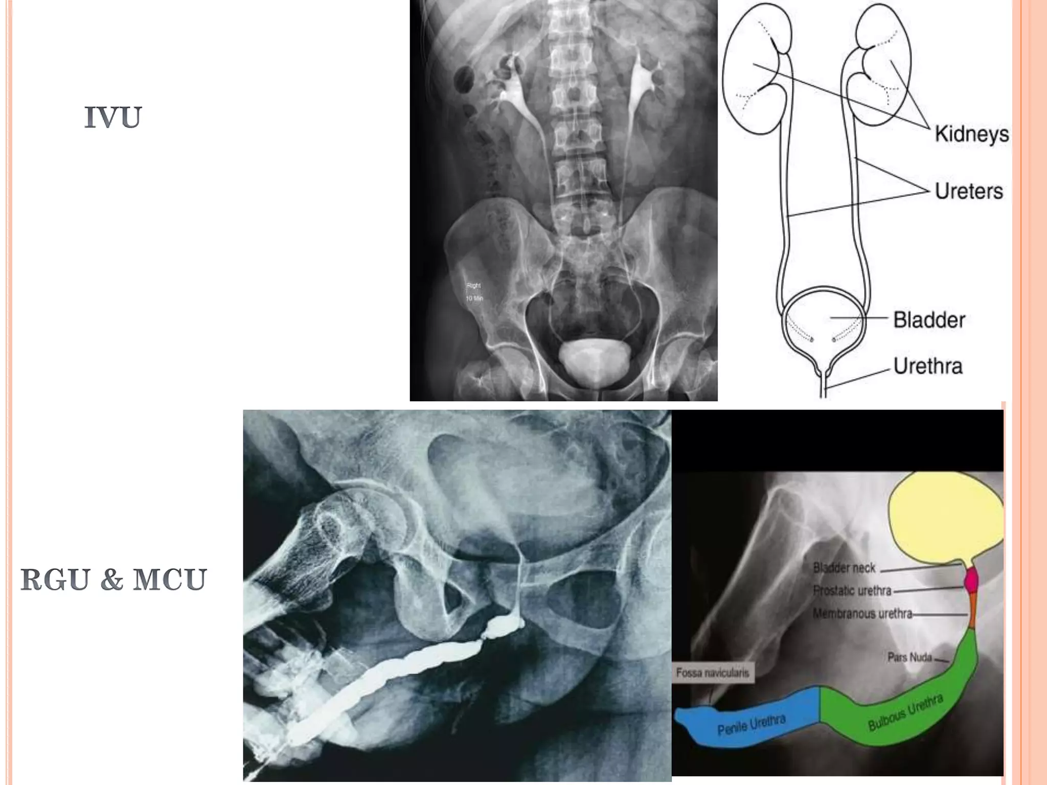 Basic about radiology & imaging.pdf