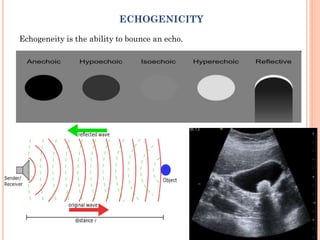 Basic about radiology & imaging.pdf