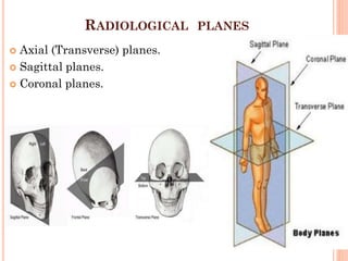 Basic about radiology & imaging.pdf
