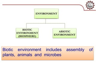 environment and ecology | PPTX
