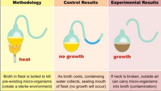 1. ORIGIN OF LIFE.pptx