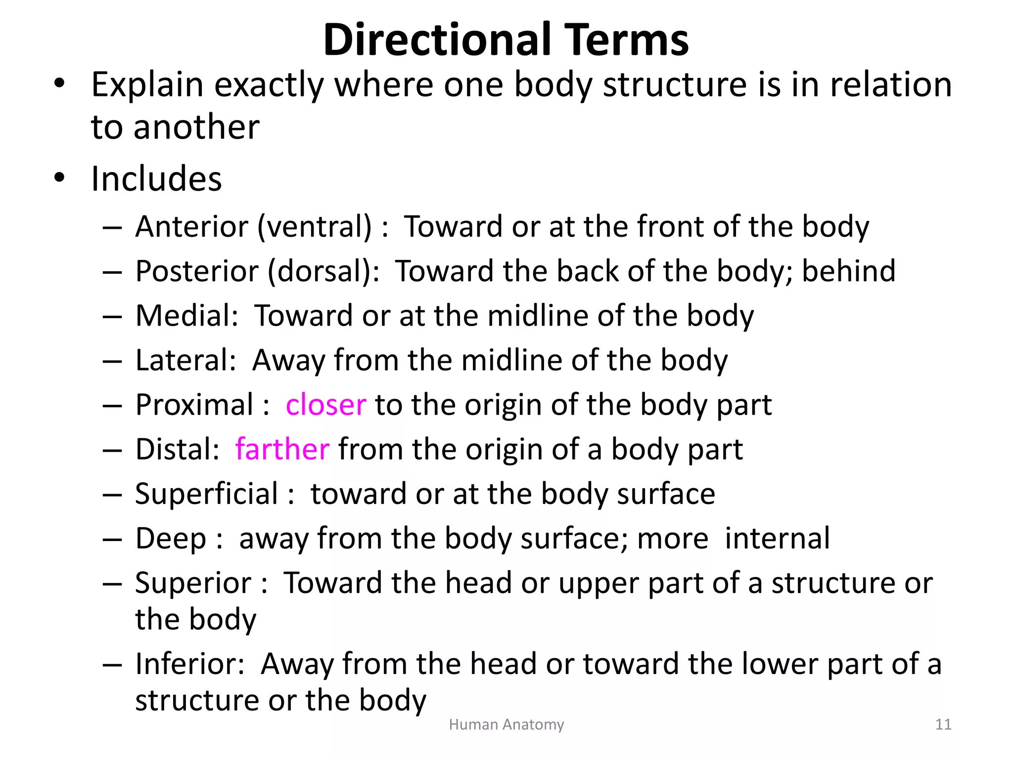 1. Human Anatomy-3.pptx