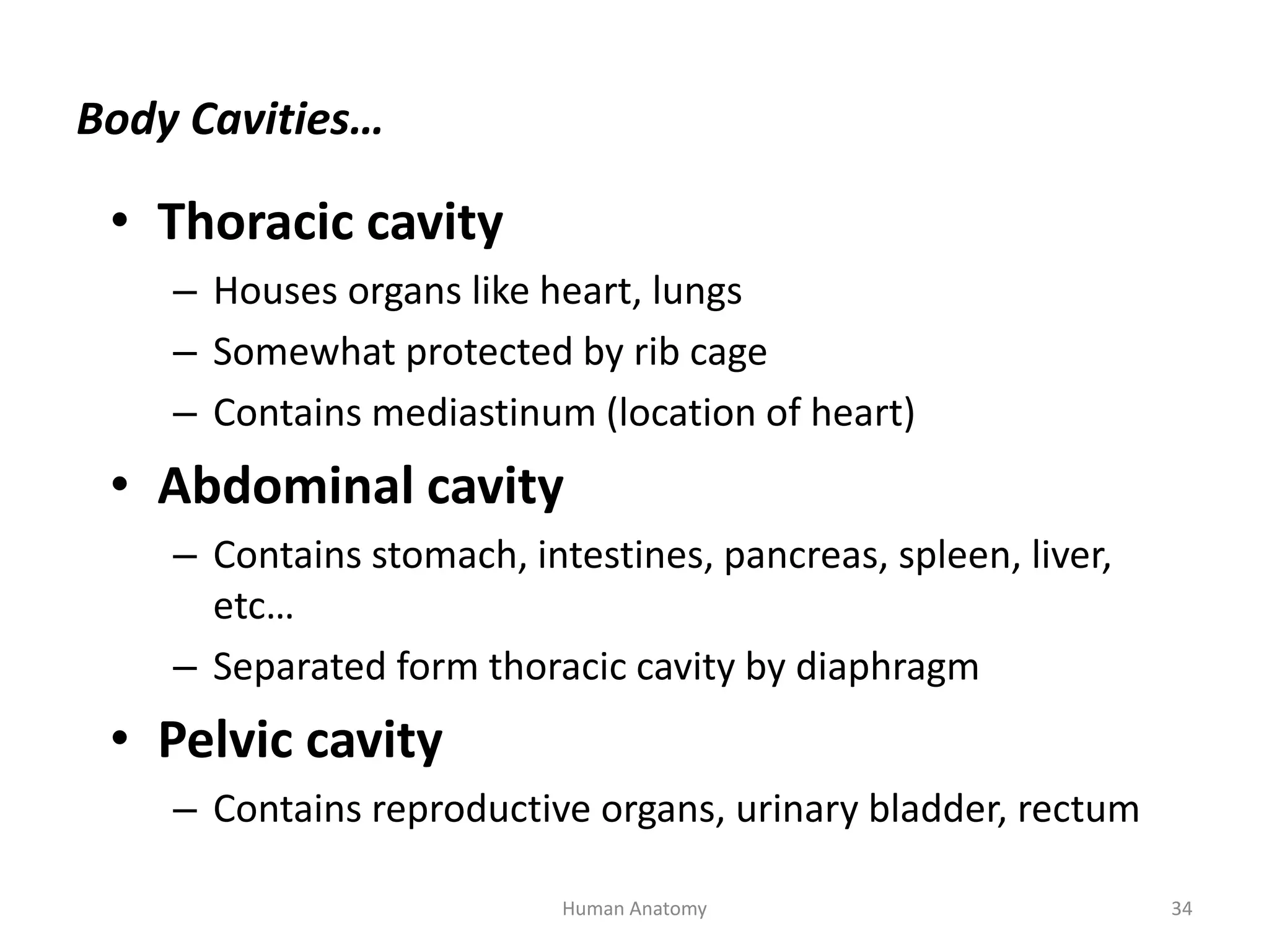 1. Human Anatomy-3.pptx
