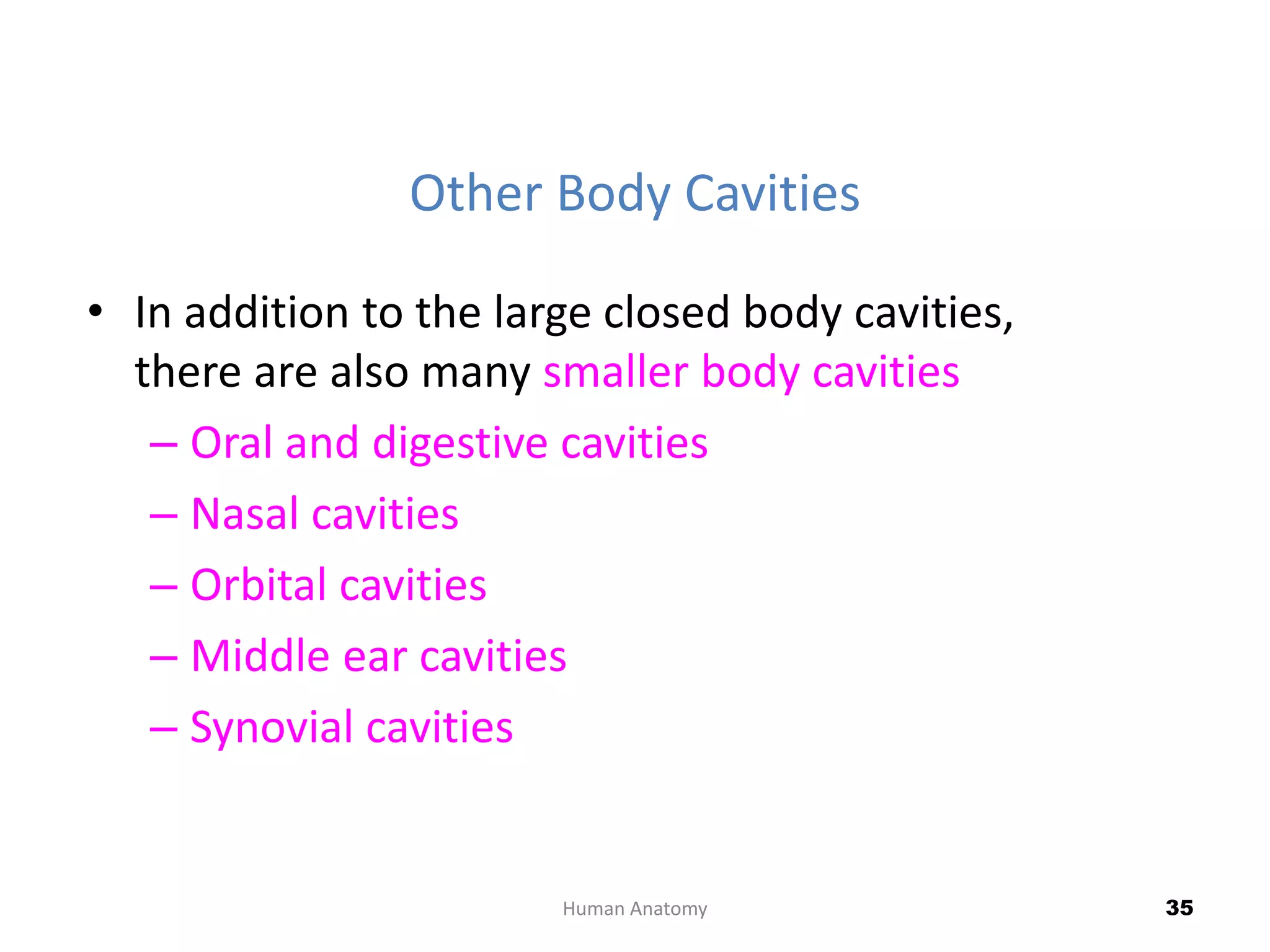 1. Human Anatomy-3.pptx