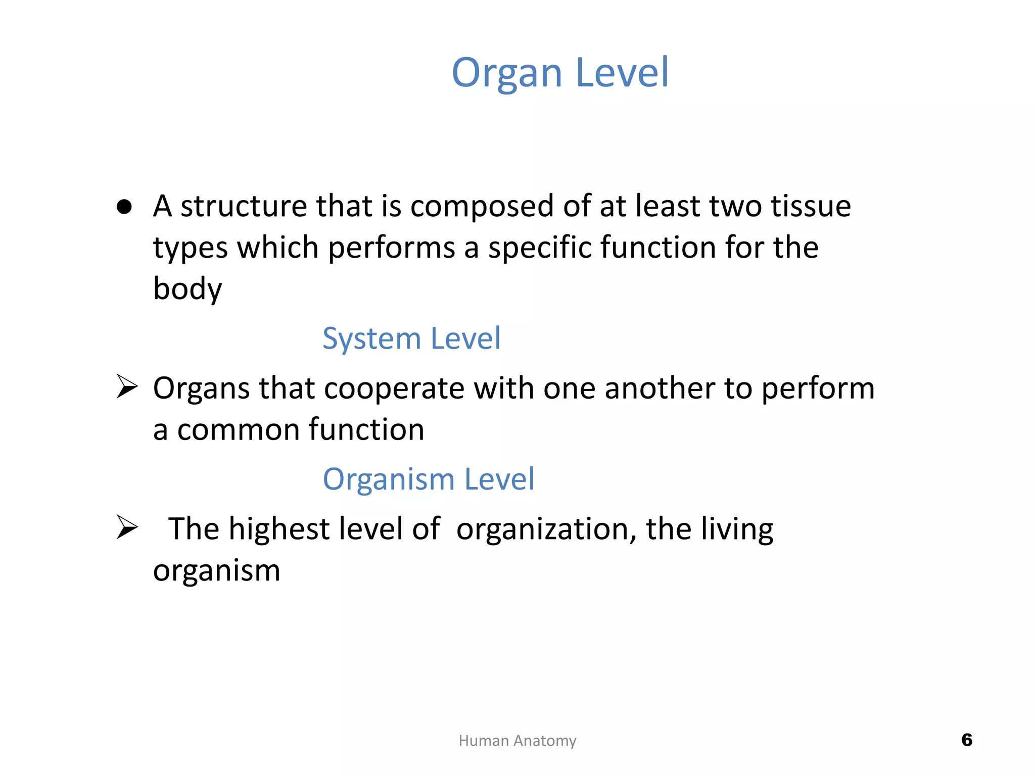 1. Human Anatomy-3.pptx