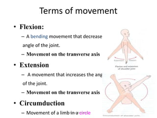 1. Human Anatomy-3.pptx