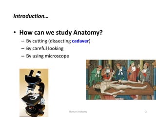 1. Human Anatomy-3.pptx