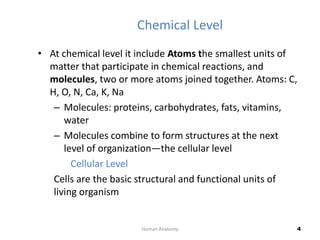 1. Human Anatomy-3.pptx