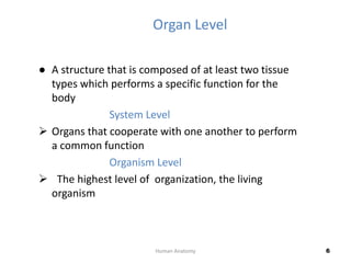 1. Human Anatomy-3.pptx