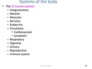 1. Human Anatomy-3.pptx