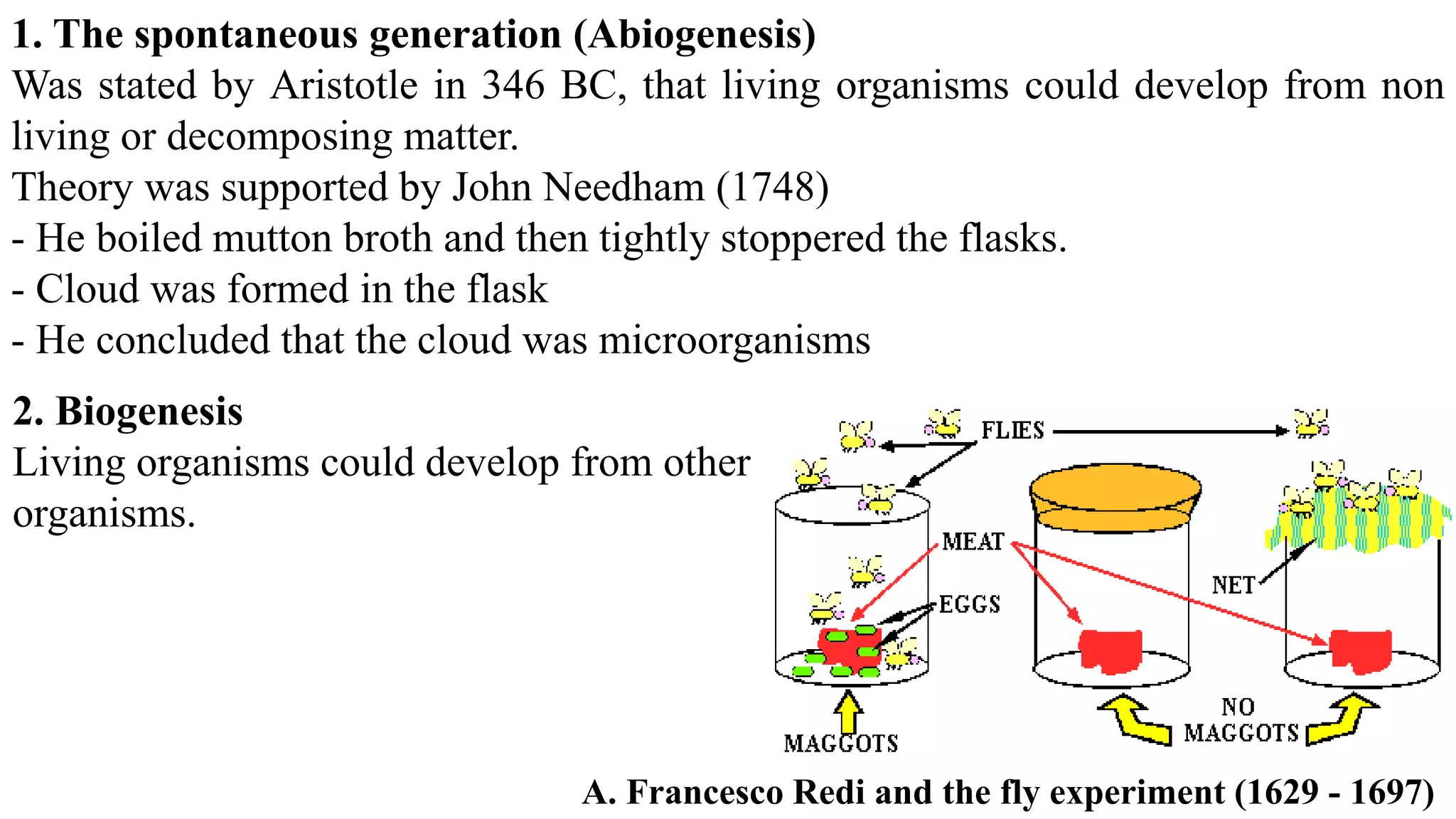 INTRODUCTION TO MICROBIOLOGY.ppt | Infectious Diseases | Diseases and ...