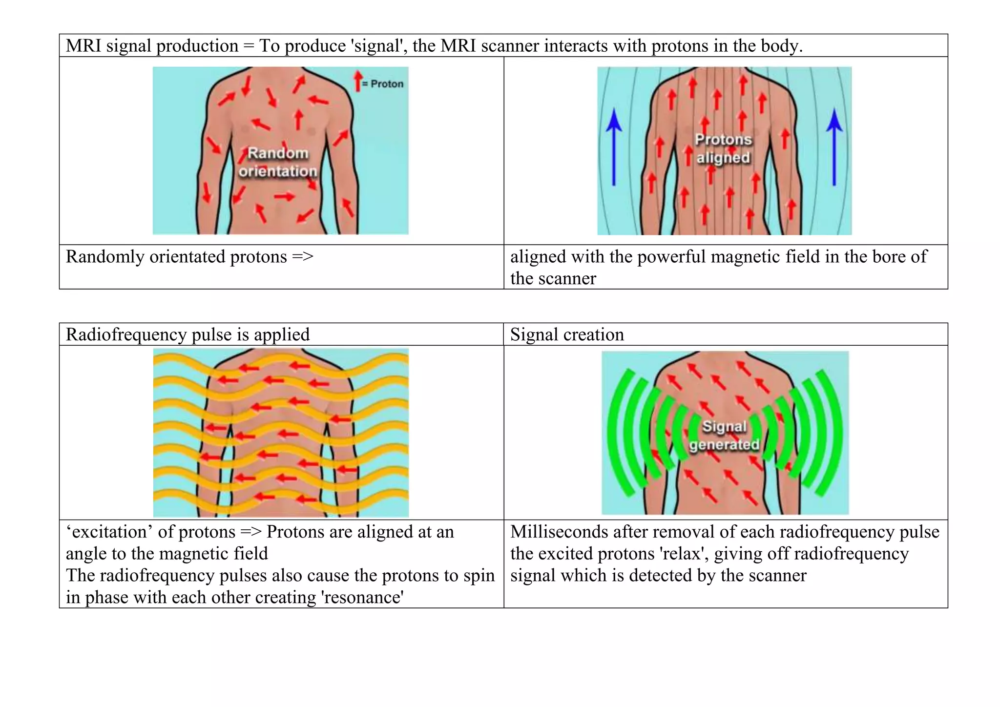 1. MRI interpretation.docx