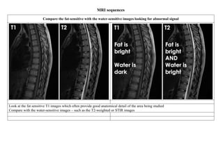 1. MRI interpretation.docx
