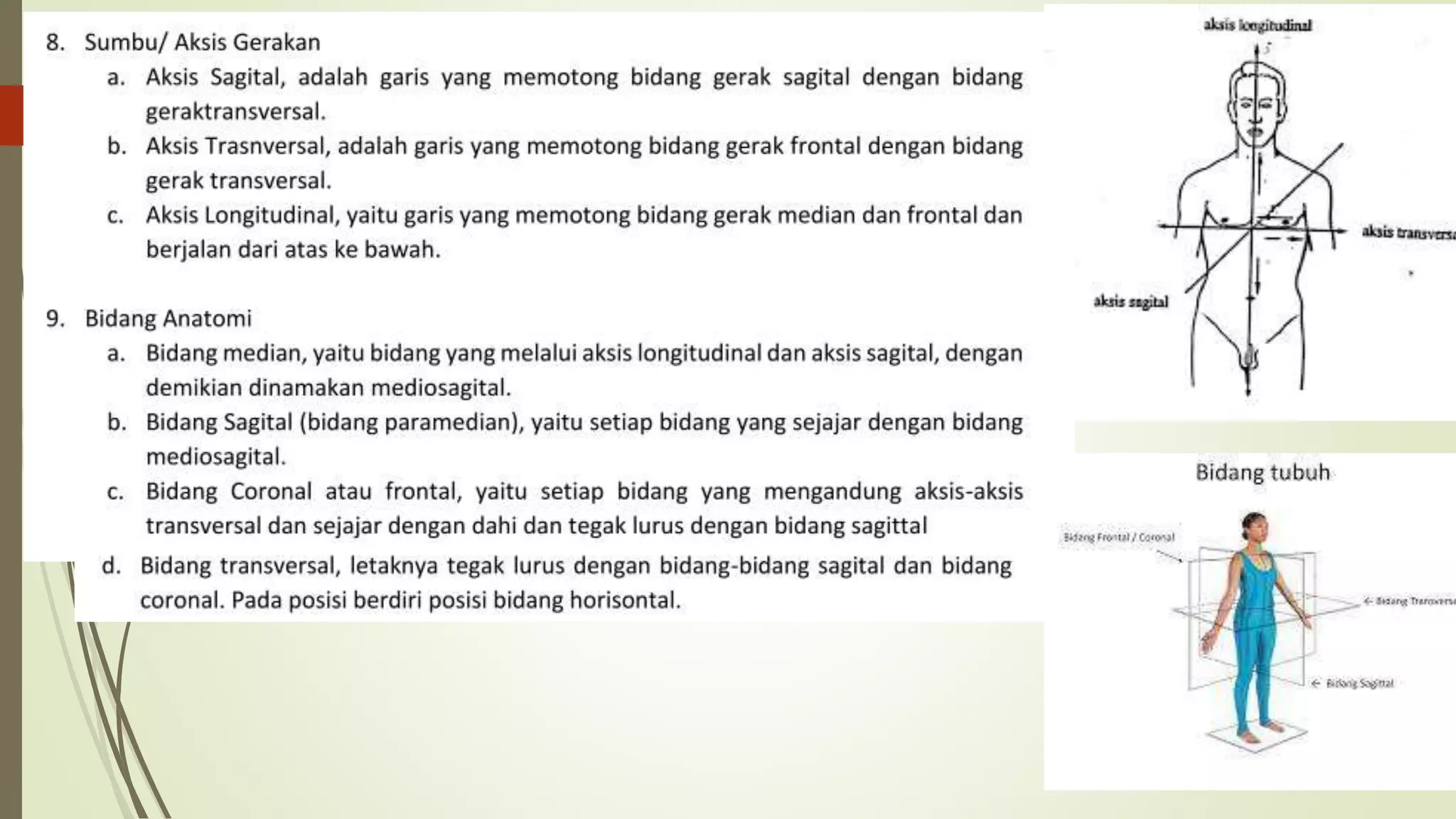 Dasar-Dasar Anatomi Fisiologi.pptx