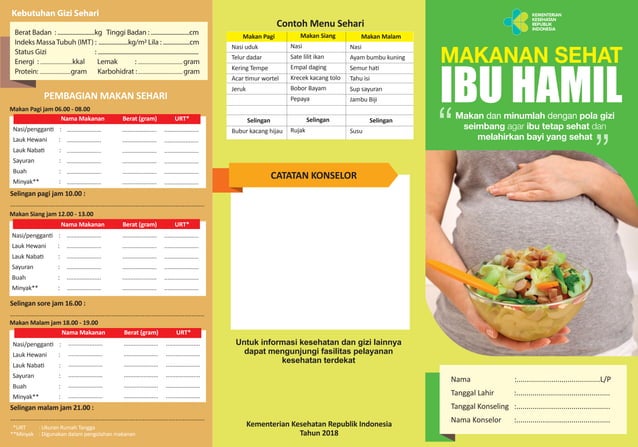 1. MAKANAN SEHAT IBU HAMIL.pdf